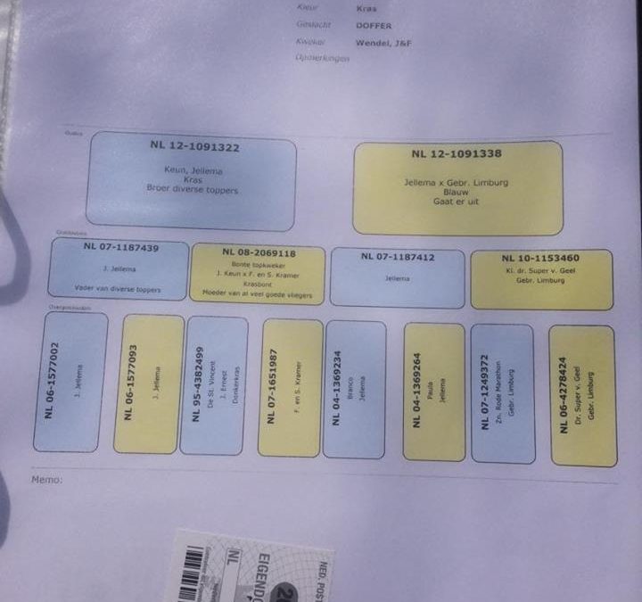Stamkaart Johan Wendel - Marathonduivenjournaal