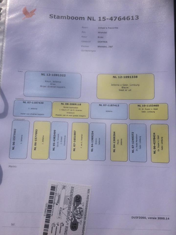 Stamkaart Johan Wendel - Marathonduivenjournaal